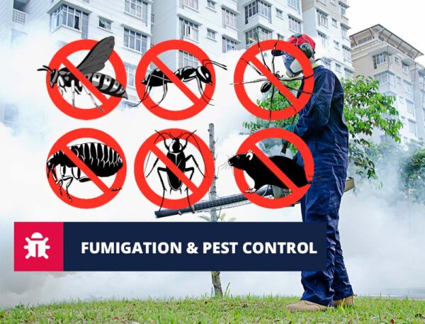 Fumigation & Pest Control - Willinya Cleaning Services